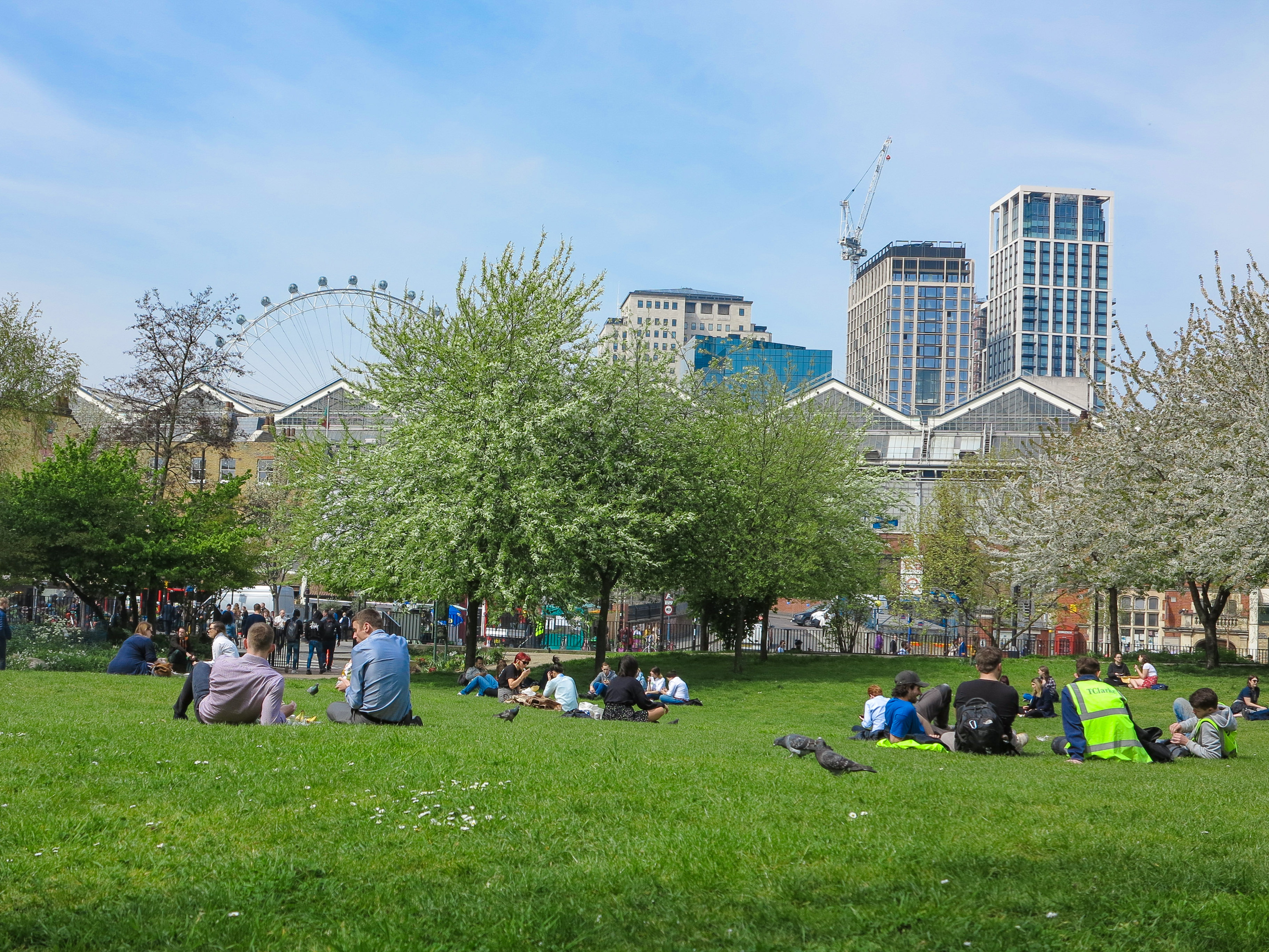 Hire Millennium Green Waterloo for Activations and Events